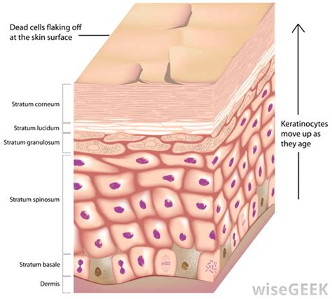 Modern Mild Skin Cleansing