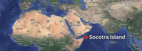 Travel To Socotra Island Guide Best Of 2026 Socotra Yemen