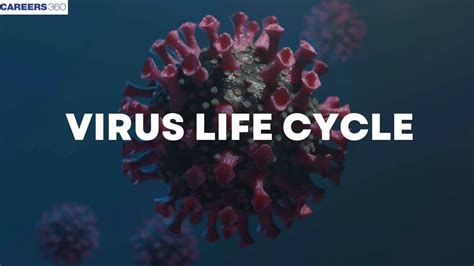Virus Life Cycle Introduction Overview Stages Types Life Cycle Faqs