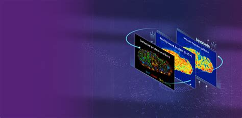 Stomics Stereo Seq Advanced Spatial Multi Omics Technology