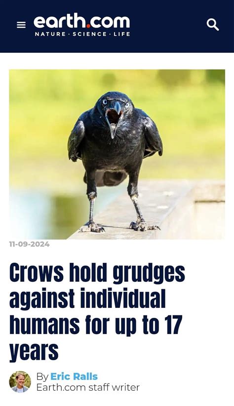 Sorry Album On Imgur