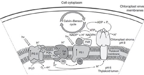 Figure 11 From Design And Characterization Of A Miniature