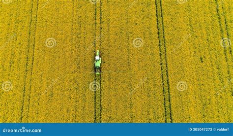 Agriculture Gmo Background Stock Image Image Of Spring Crop
