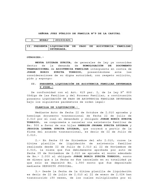 Liquidacion Neyda Descargar Gratis Pdf Gobierno