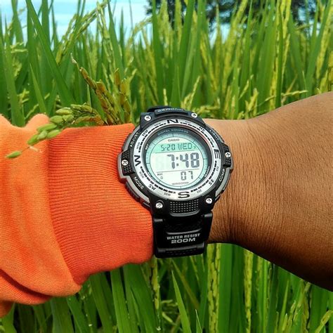 Casio SGW-100 / 3157 / All Models