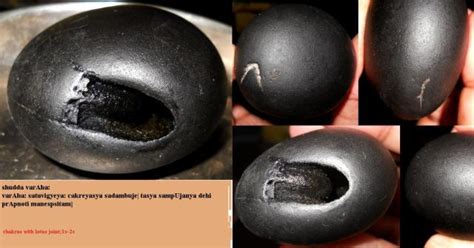 Varaha Lakshmi Varaha Murthy Shaligrama