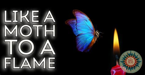 What Does Moth To A Flame Mean Detroit Chinatown