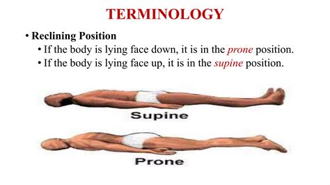 Introduction To Human Anatomy And Physiology Pptx