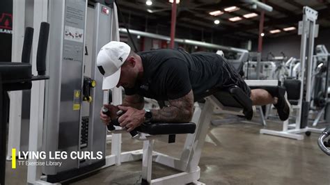 Lying Leg Curls The True Transformation