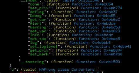 Thierry Fournier Various Things Haproxy And Lua How To Debug Configurations