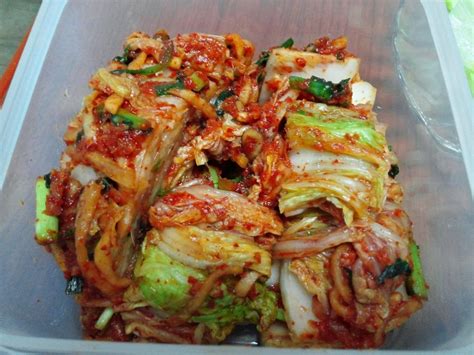 Romanees Life 아들이 만들어온 김장