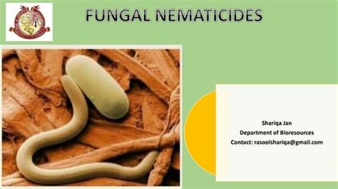 Behavioural Analysis Of Nematode Movement Pdf