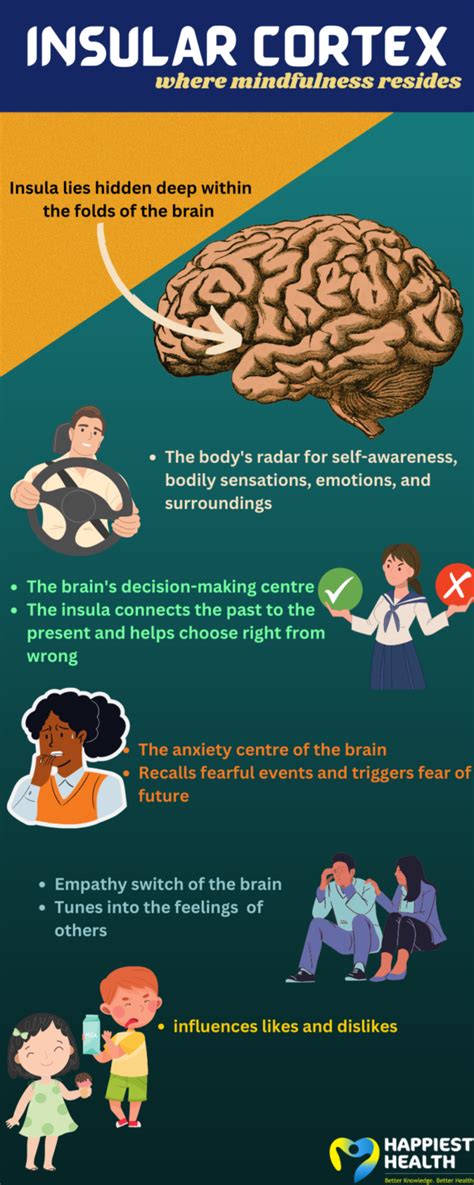 Insular Cortex Where Mindfulness Resides Happiest Health