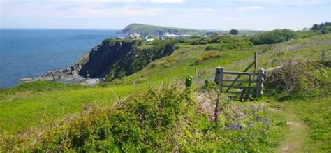 20 Best Things To Do In Cardigan Near Me Attractions In Ceredigion