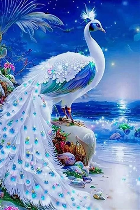 Beautiful Peacock Stuff