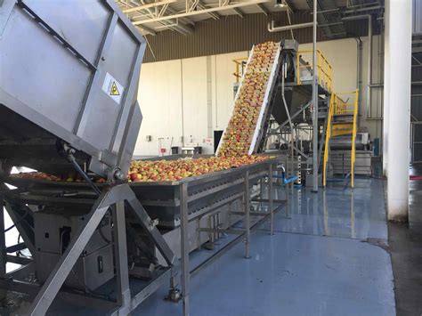 Experienced Supplier Of Fruit Processing Machineryvegetable Processing