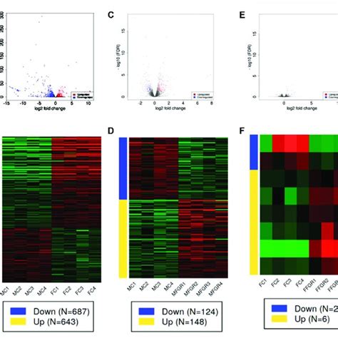 Demonstrates Oil Red Staining Of Fat Droplets Following Adipogenic