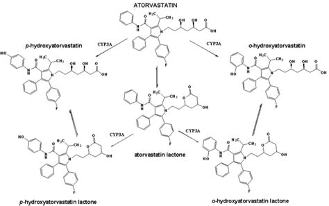 Atorvastatin And Impurities Boc Sciences