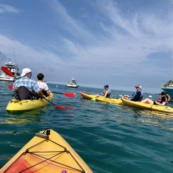 Ocean Safaris Kayak Adventures Updated May 2026 135 Photos And 248
