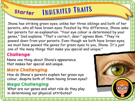 Puberty And Biological Sex Teaching Resources