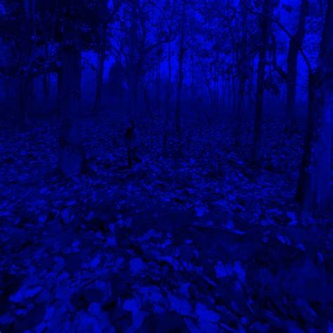 Stream Afforest By Old Listen Online For Free On Soundcloud