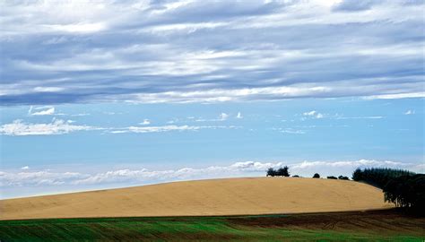 Wallpaper Trees Sky Art Field Grass Lines Clouds Landscape