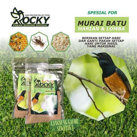 Makanan Burung Murai Batu Harian Extra Kroto Dan Madu Lazada Indonesia