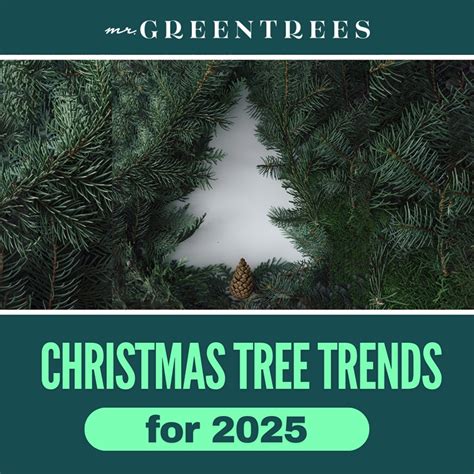 Top Christmas Tree Trends For 2025 Mr Greentrees Christmas Trees