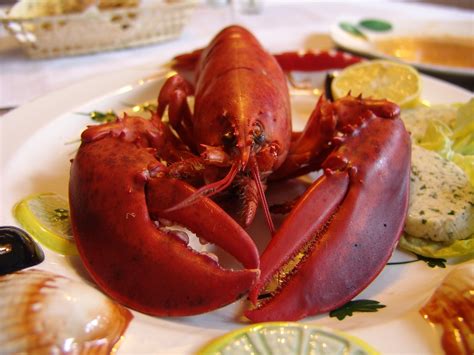 Best Lobster In Boston 2020 13 Places With Top Lobster Dishes