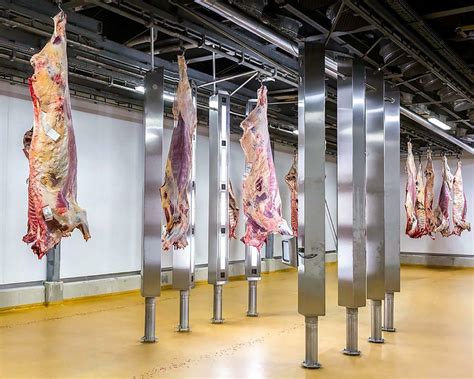 Classifier Les Carcasses De Manière Automatique