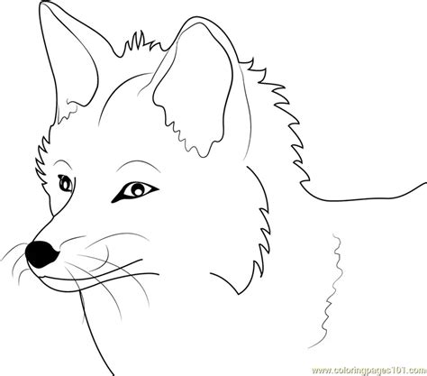 Fox Head Coloring Page