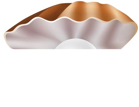 Shell Clipart Pictures Clipartix