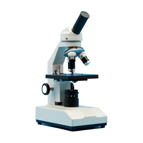 China School Microscope For Adults Manufacturers Customized School Microscope For Adults