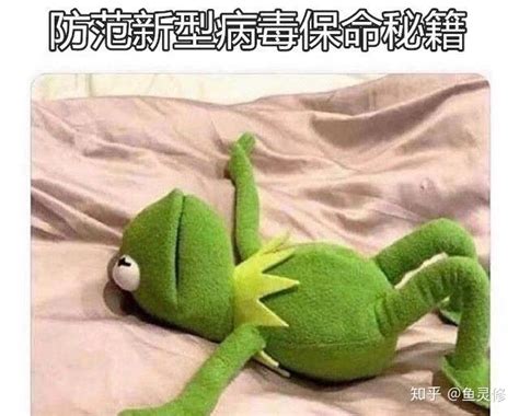 屯点表情包 知乎