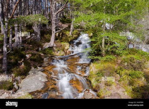 Waterfall In Cairngorms National Park Scotland Uk Long Exposure