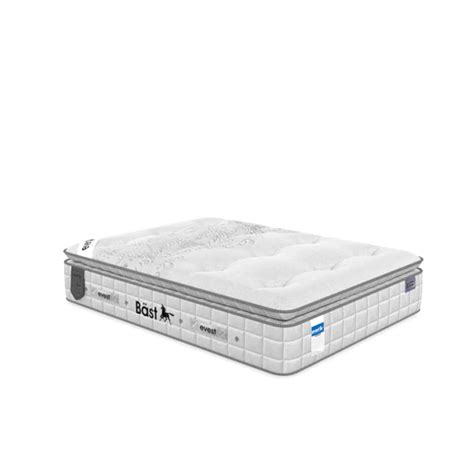 تشک باستا تشک اِوِست