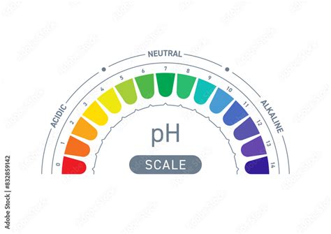 Semicircle Ph Acid Base Scale Ph Values Chart Vector Acidity