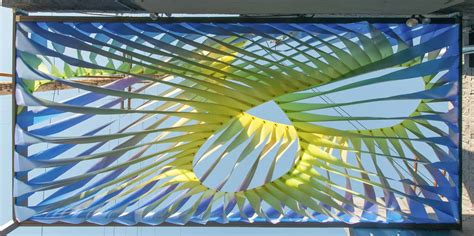 Sqirl Canopy Freelandbuck