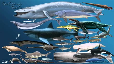 Leedsichthys Blue Whale