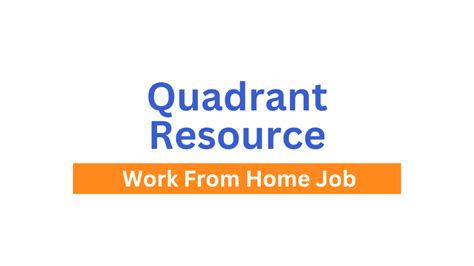 Quadrant Resource Job Web Data Analyst Work From Home Amir Sohel