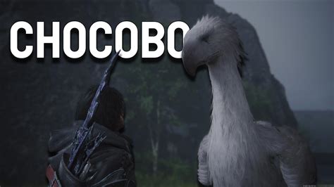 Legacy Chocobo