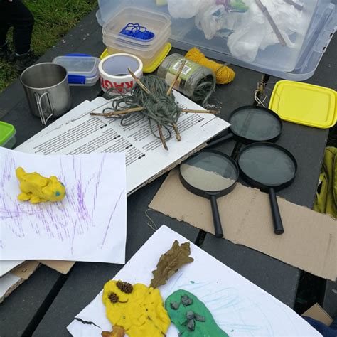 Unlocking Wild Wisdom Introducing The Magic Of Forest School