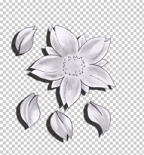 Anime Flower Drawing