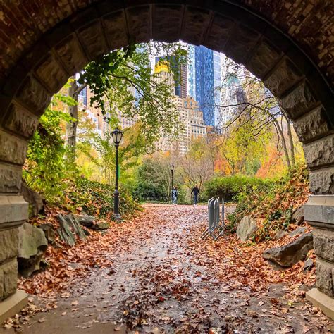 Inscope Arch Scrolller