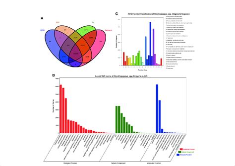 Gene Annotation Information A Annotated Wayne Diagram Of Four Major Download Scientific