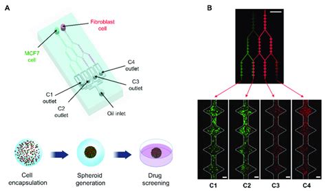 Experiment Setup Of Microfluidic Gradient Droplet Device For
