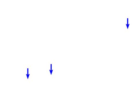 As A Tissue 5 Digital Histology