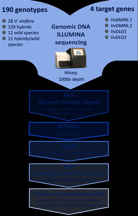 Data Analysis Flowchart Download Scientific Diagram