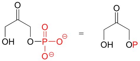 Phosphate Functional Group Example