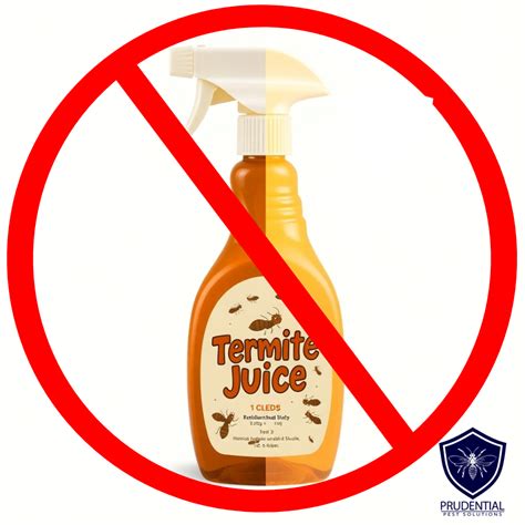 Why Diy Termite Control Might Not Be Enough Prudential Pest Solutions